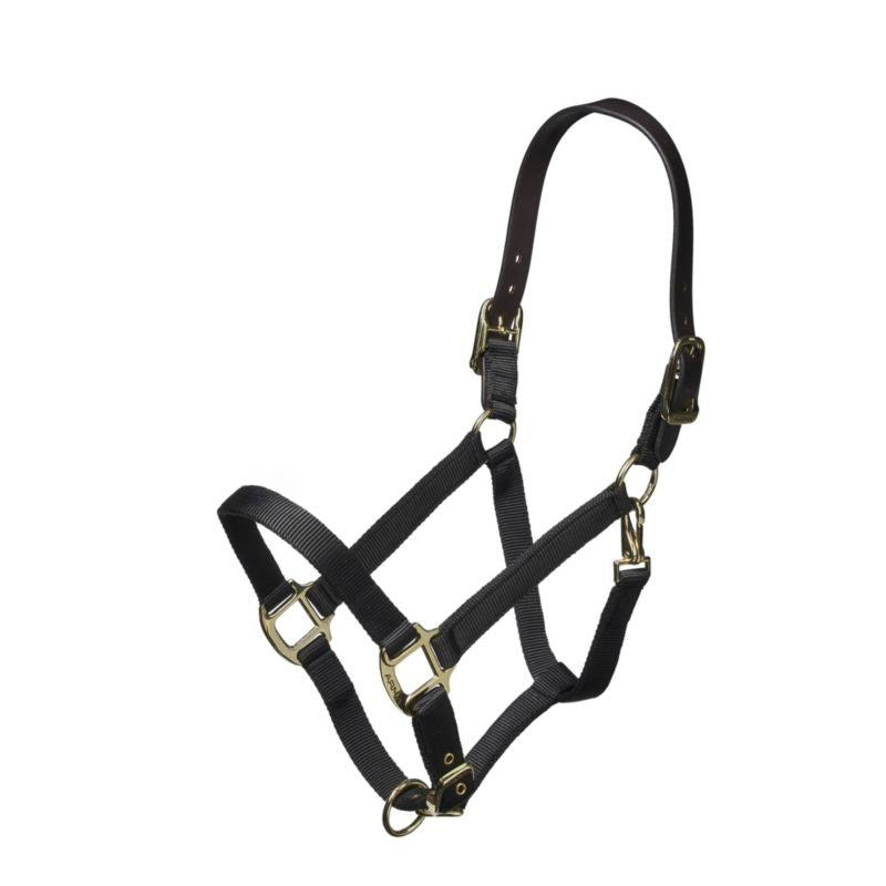 Shires ARMA Nylon Halter with Leather Head Strap– HorseLoverZ