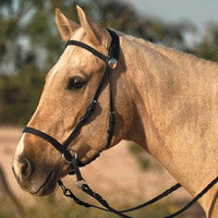 English Bitless Bridles - Jumping, Hunt, Raised & More– HorseLoverZ
