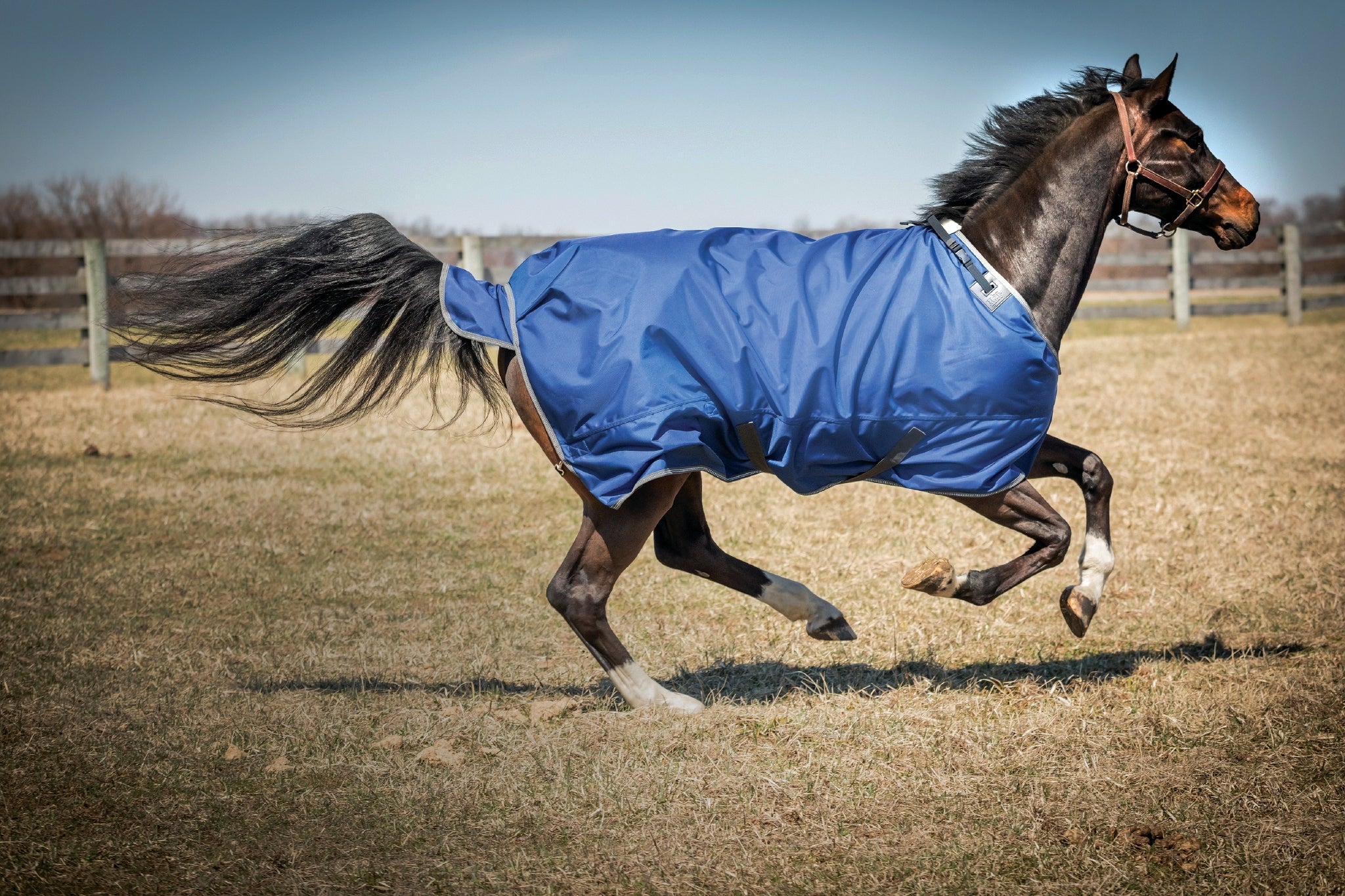 Super Hug 200g Mediumweight 2520D Turnout Blanket– HorseLoverZ
