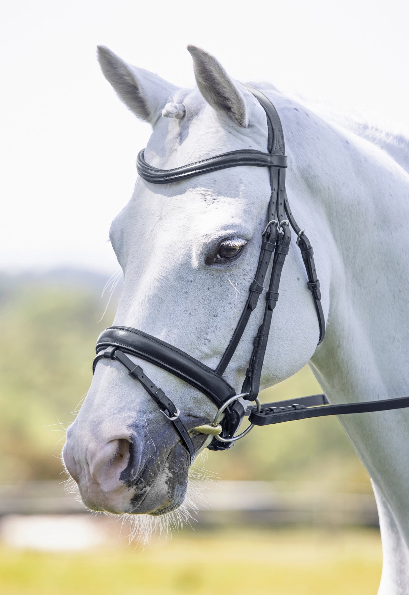 Shires Velociti Dressage Bridle With Flash– HorseLoverZ