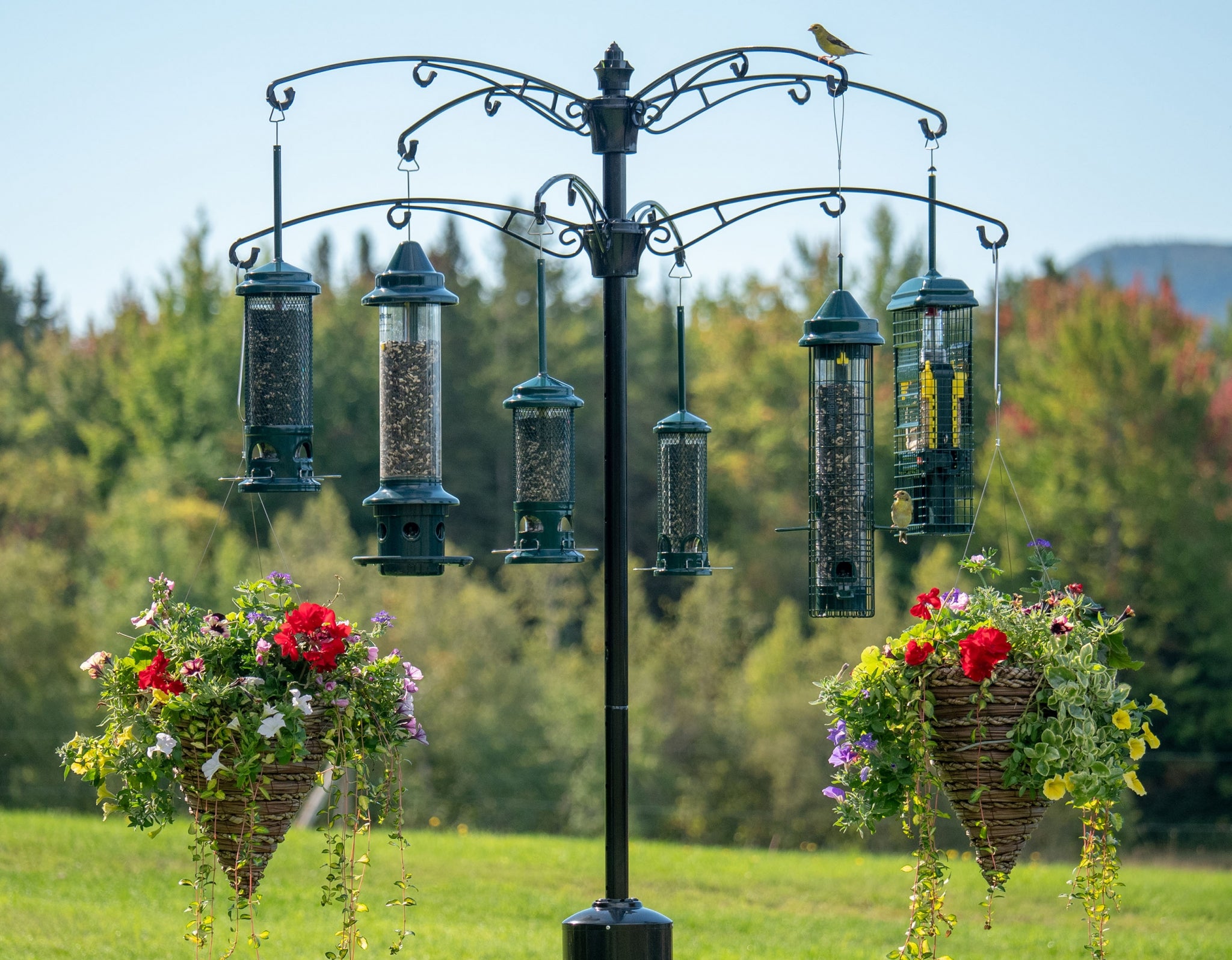 Brome Raccoon Buster Arm Kit– HorseLoverZ