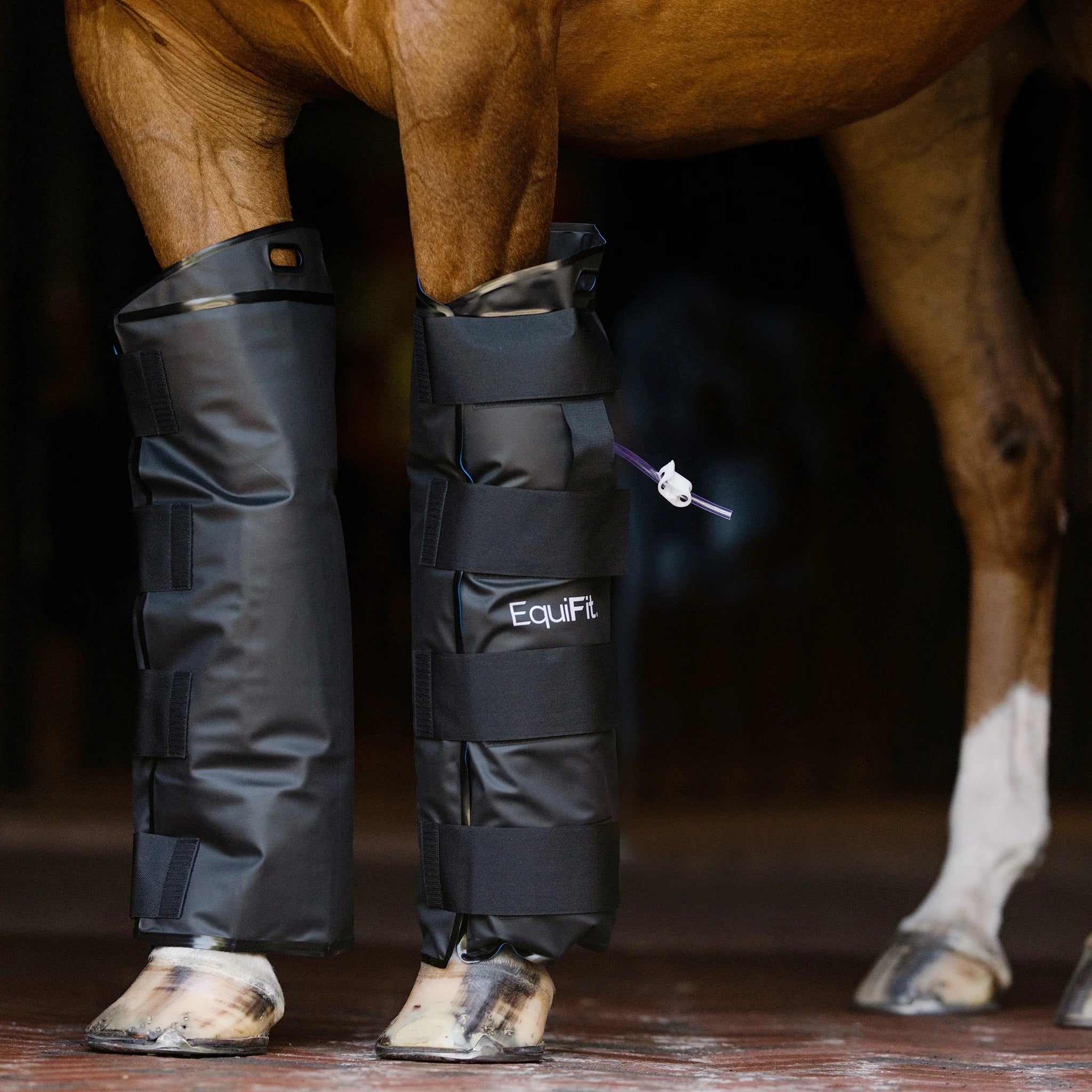 EquiFit IceAir Cold Therapy Boot– HorseLoverZ