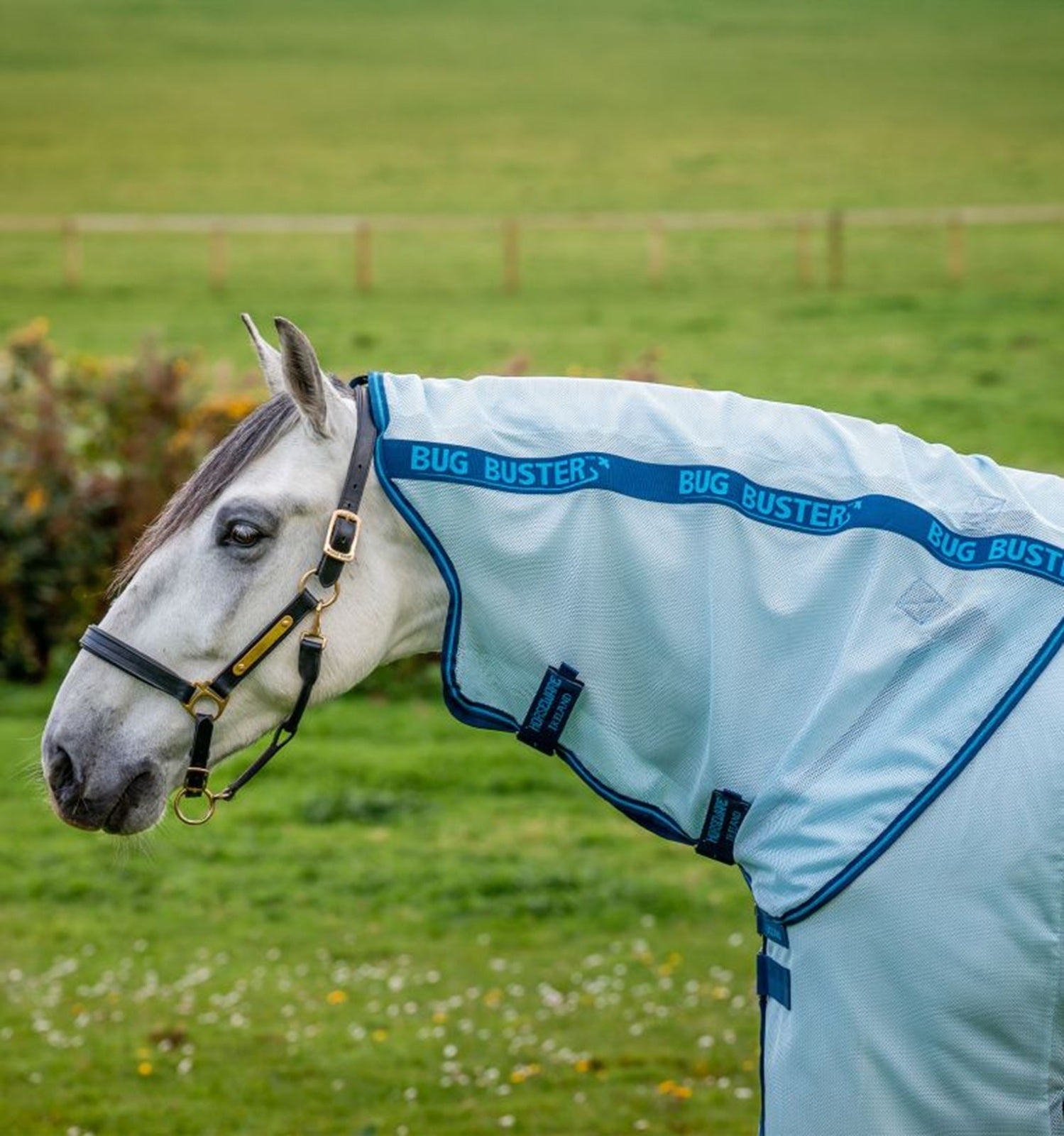 Amigo Bug Buster Hood– HorseLoverZ
