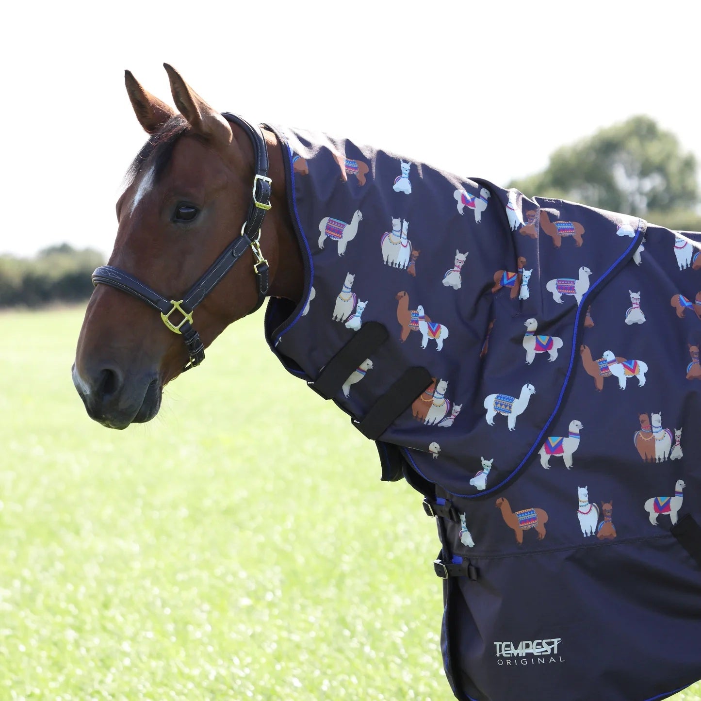 Shires Tempest Original Lite Neck Cover– HorseLoverZ
