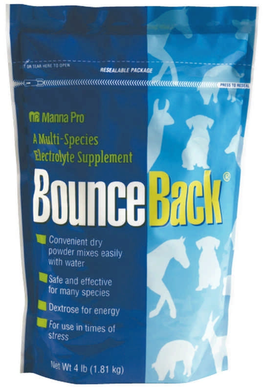 Bounce Back Electrolyte Calves – HorseLoverZ