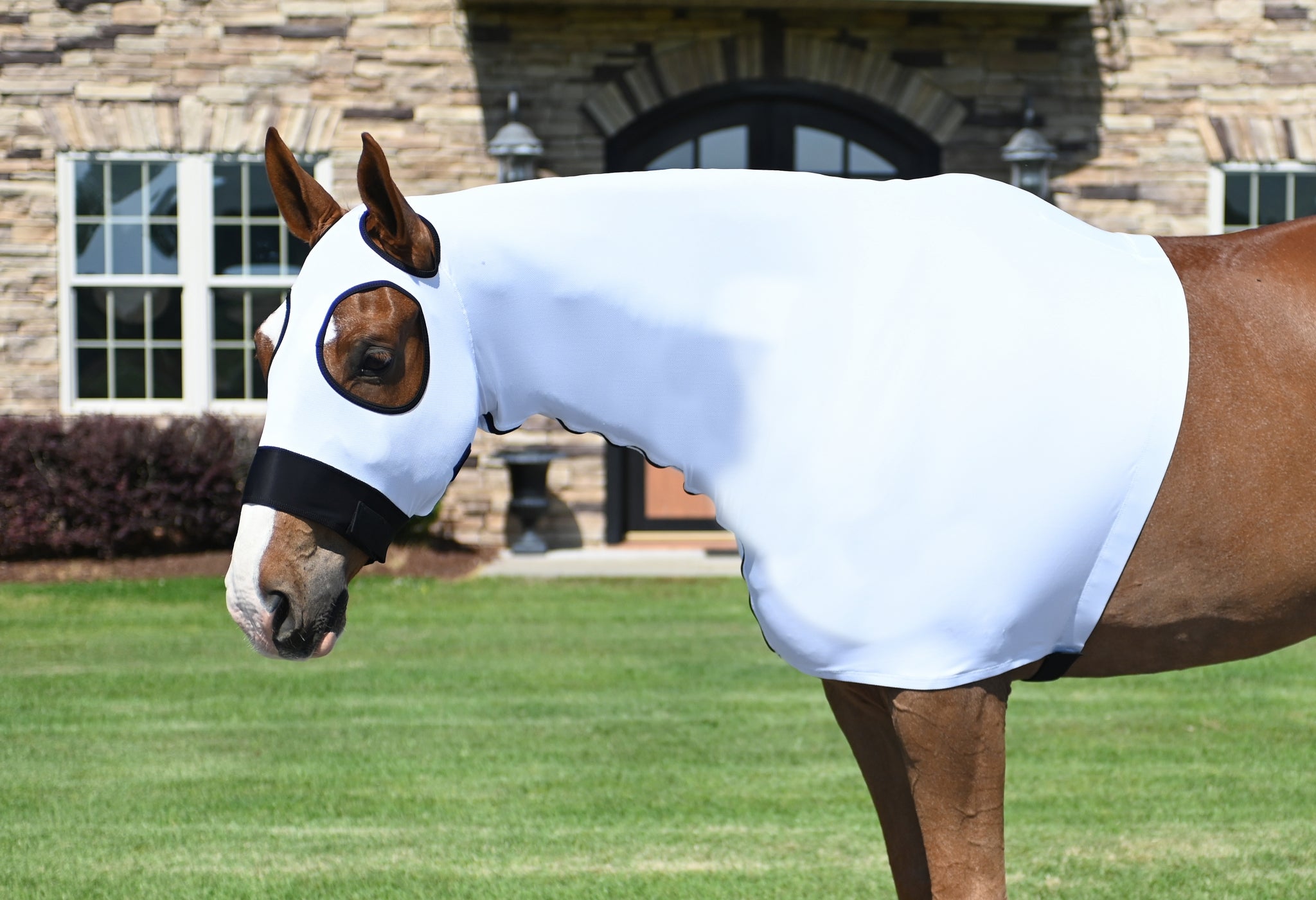 StretchX Mesh Slicker Hood with Zipper– HorseLoverZ