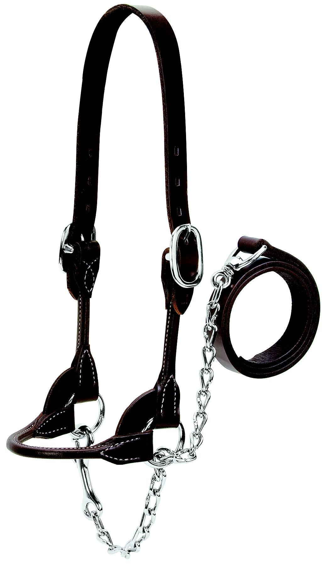 Weaver Leather Cattle Rounded Show Halter– HorseLoverZ