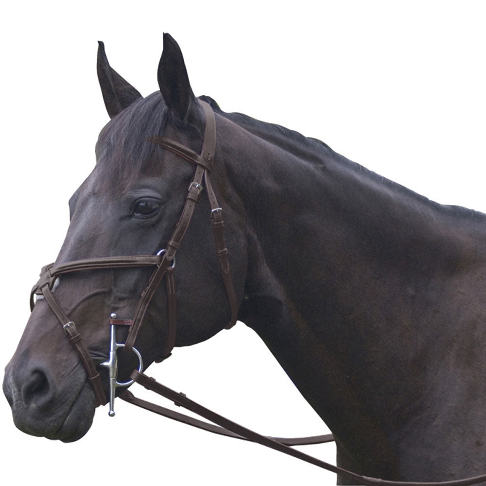 Exselle Elite Plain Raised Jumper Bridle– HorseLoverZ
