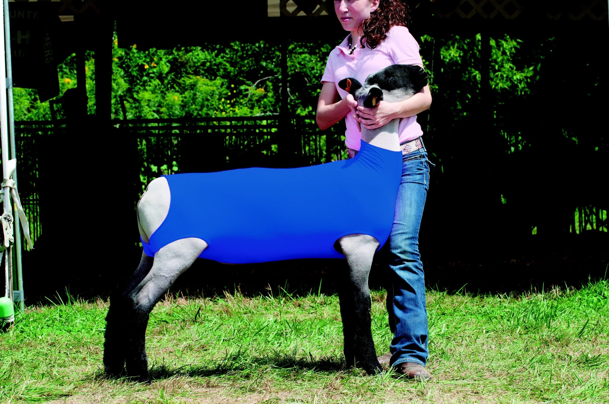 Weaver Leather Cotton Lamb Tube – HorseLoverZ