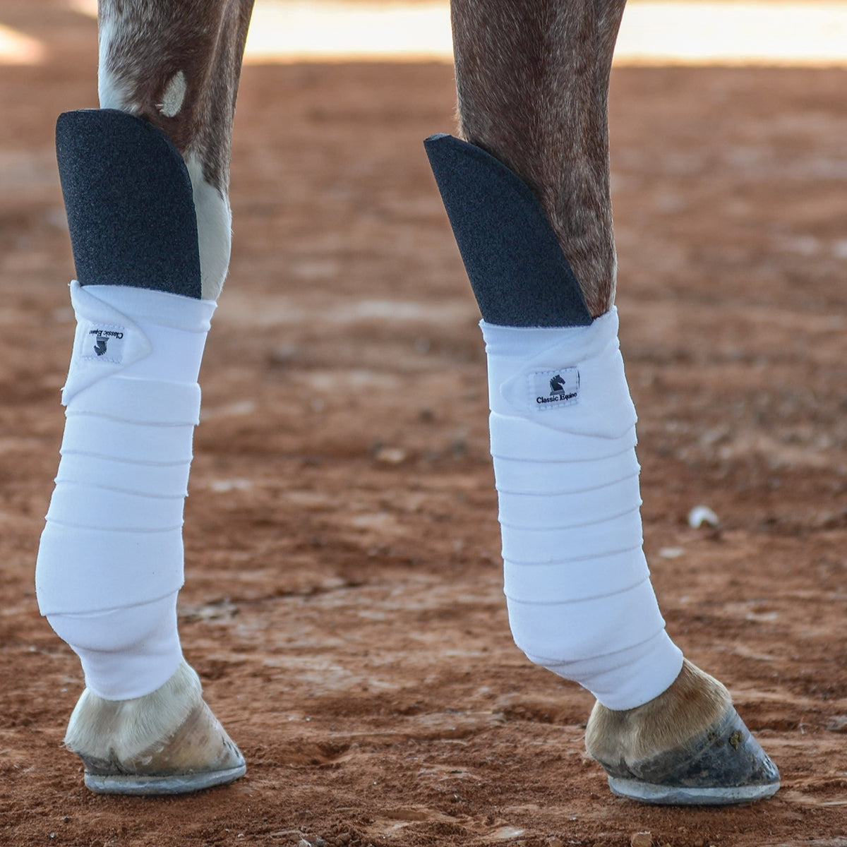 Classic Equine Knee Guard - Pair – HorseLoverZ