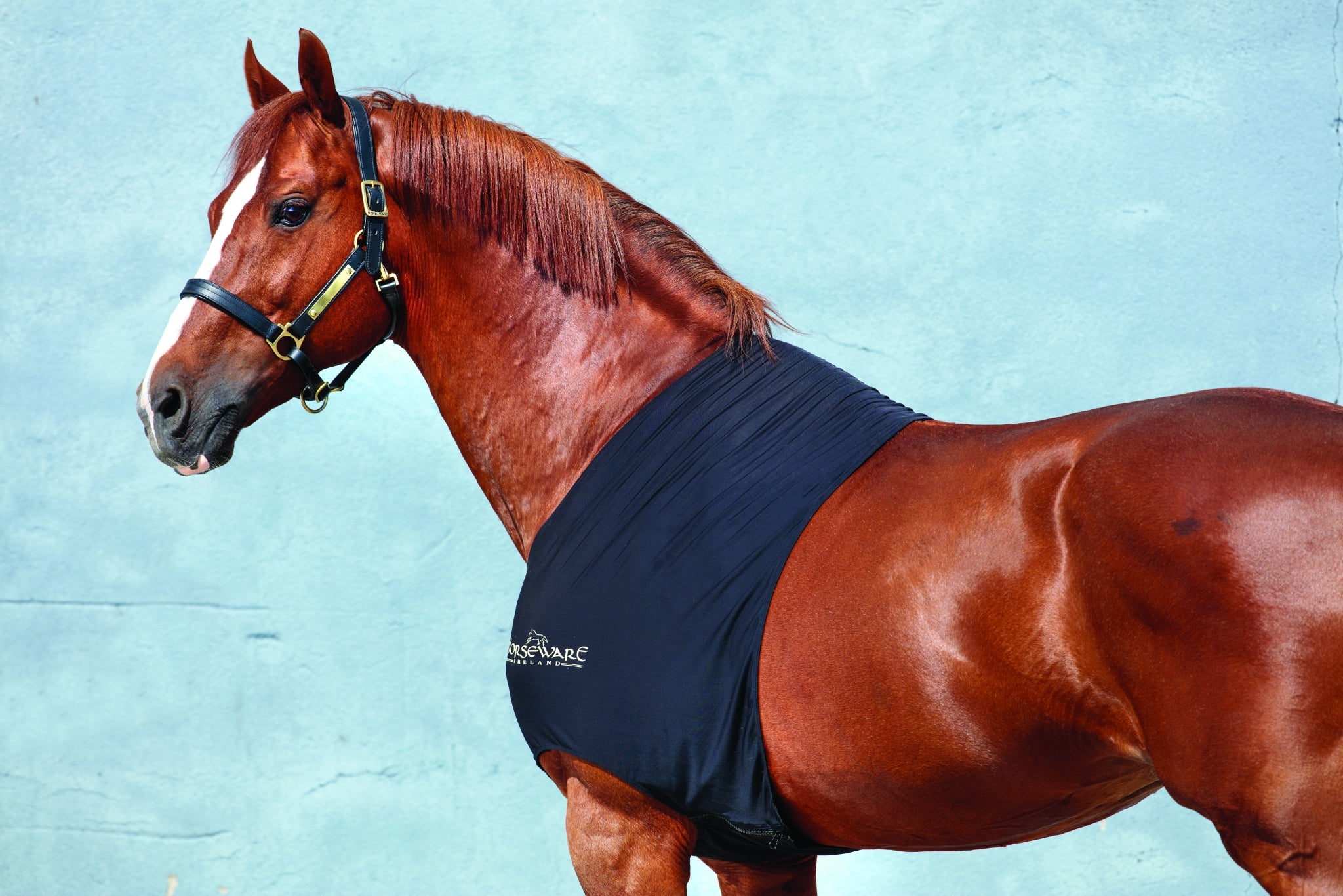 Rambo Slinky Shoulder– HorseLoverZ