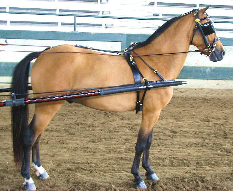 Ozark Dual Headstall Leather Pony Show Harness – HorseLoverZ