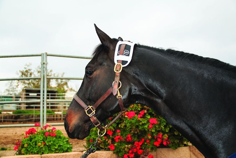 Professionals Choice Magnetic Poll Piece– HorseLoverZ