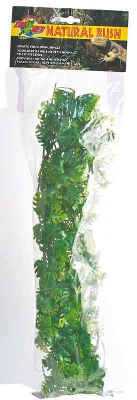 Plant Amazon Phyllos– HorseLoverZ