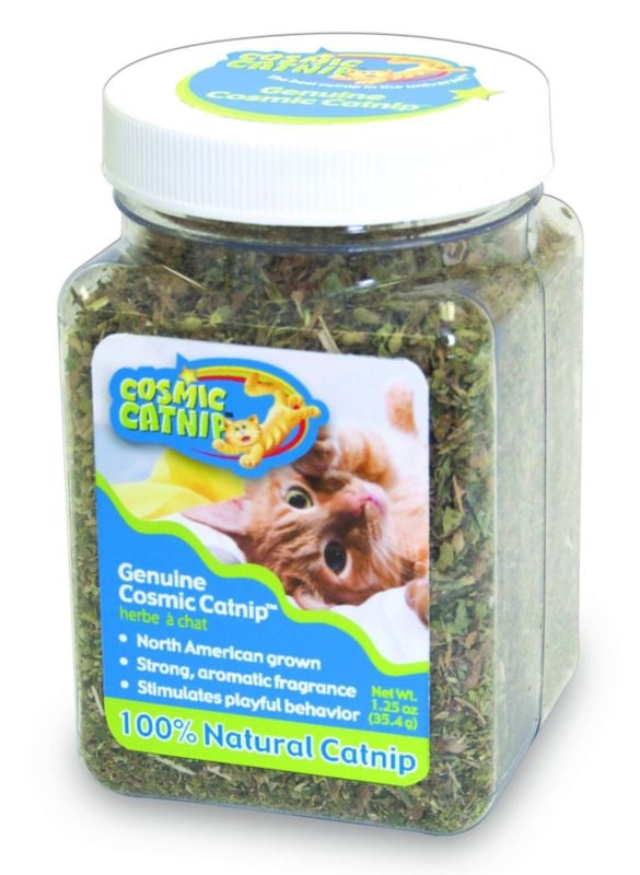 Cosmic Catnip Jar– HorseLoverZ