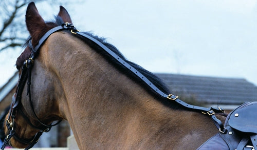 Daisy Rein - Nylon– HorseLoverZ