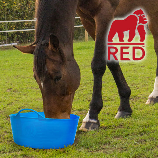 English Riding Chaps & Half Chaps - Leather, Suede & More– HorseLoverZ